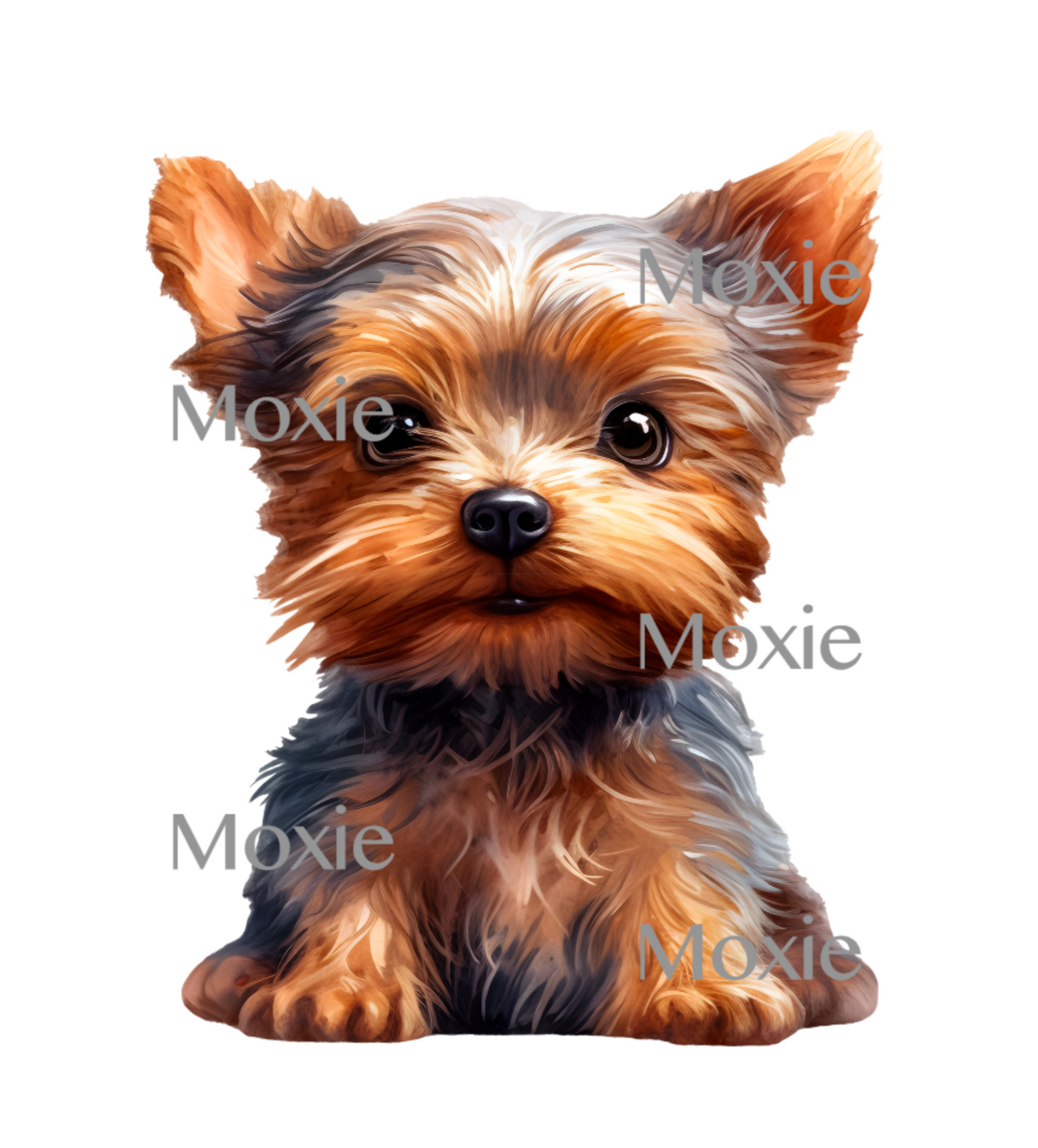 Yorkie Pup Decal & Acrylic Blank COMBO – Moxie Vinyls