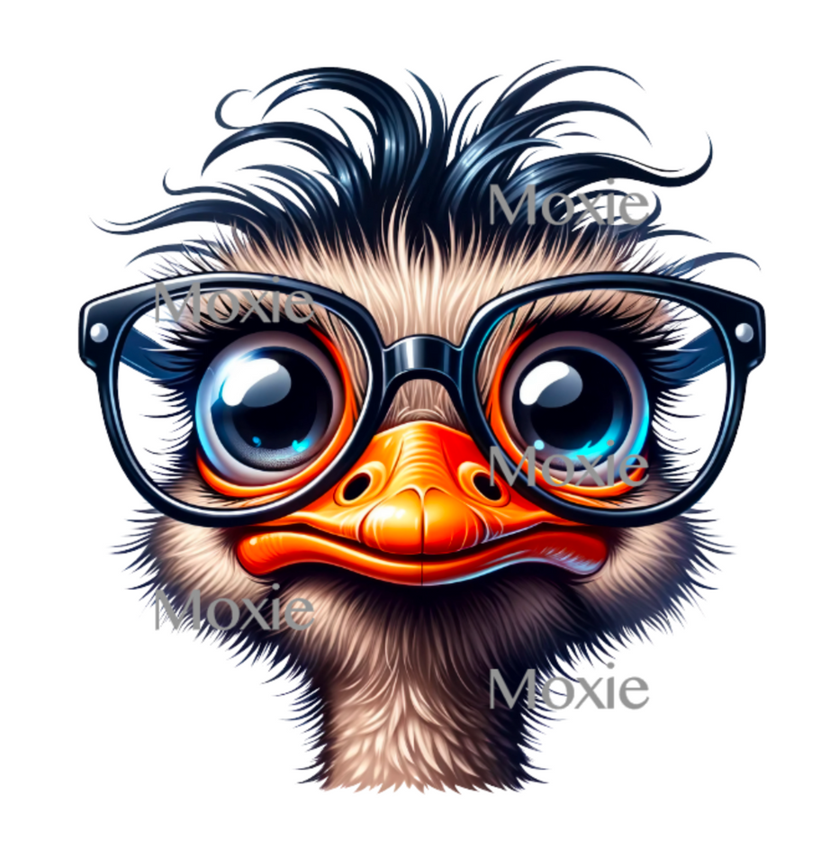 Ostrich Decal & Acrylic Blank COMBO – Moxie Vinyls