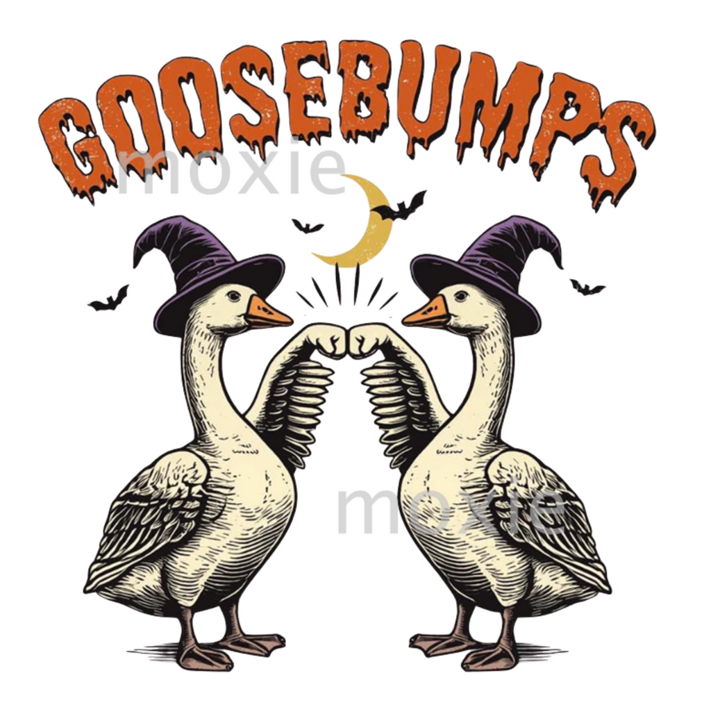 GooseBumps Decal & Acrylic Blank COMBO – Moxie Vinyls