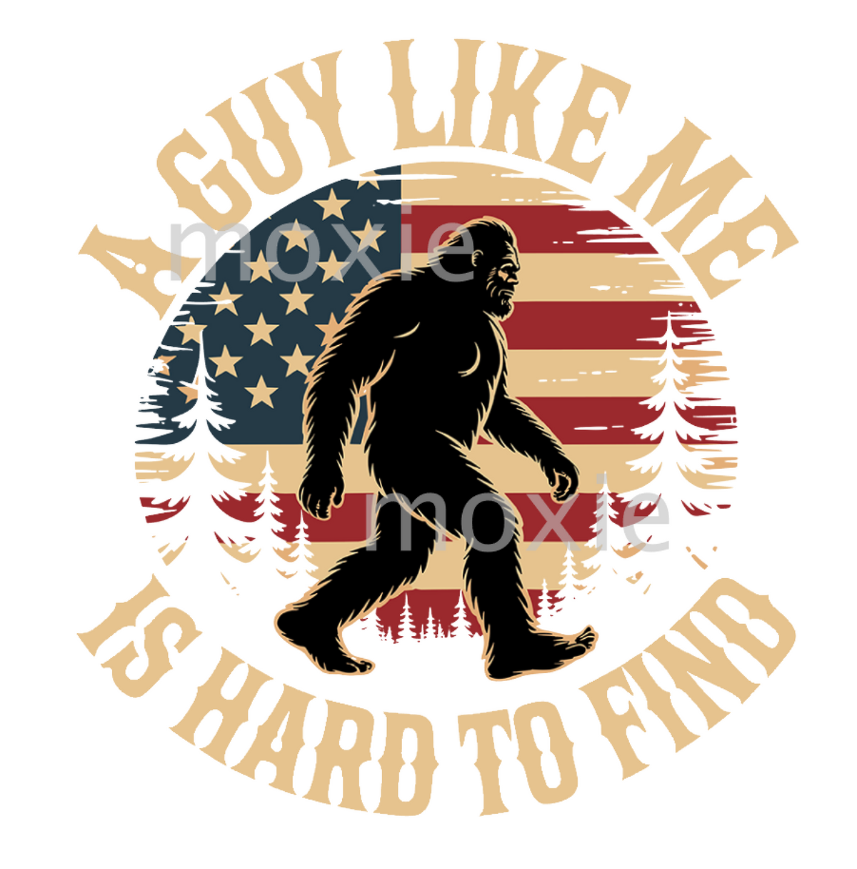 A Guy Like Me Is Hard To Find Decal & Acrylic Blank COMBO – Moxie Vinyls