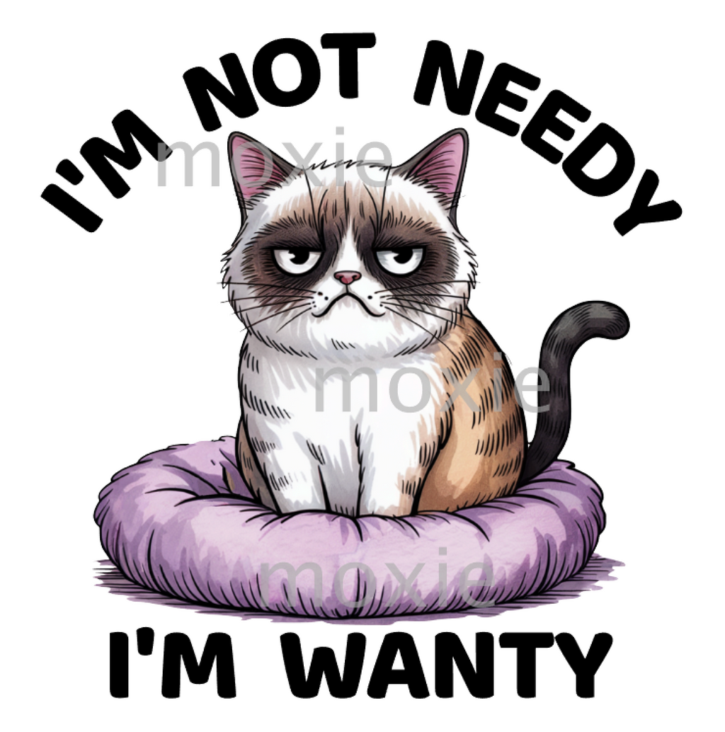 I'm Not Needy I'm Wanty Decal & Acrylic Blank COMBO – Moxie Vinyls