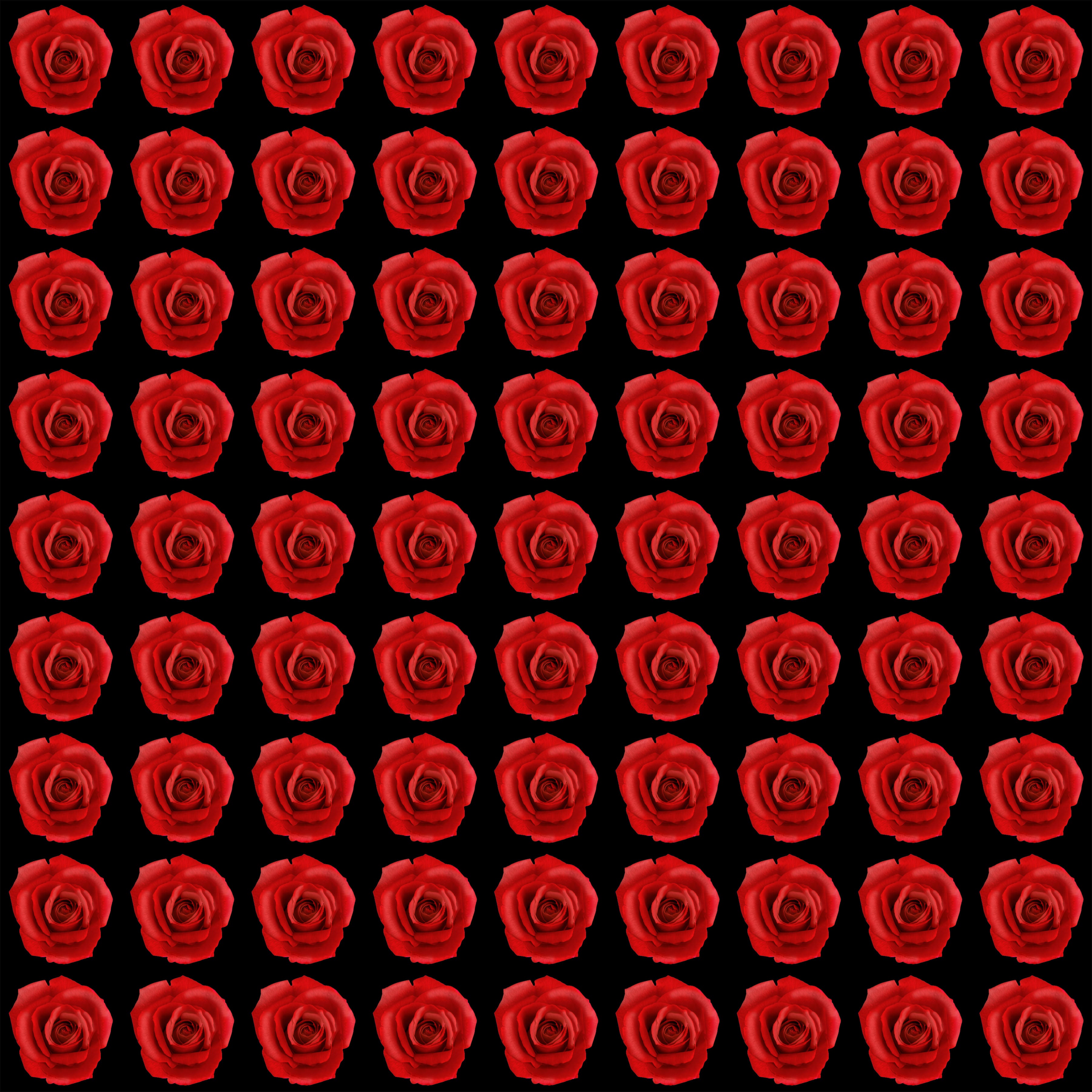 Roses Vinyl – Moxie Vinyls