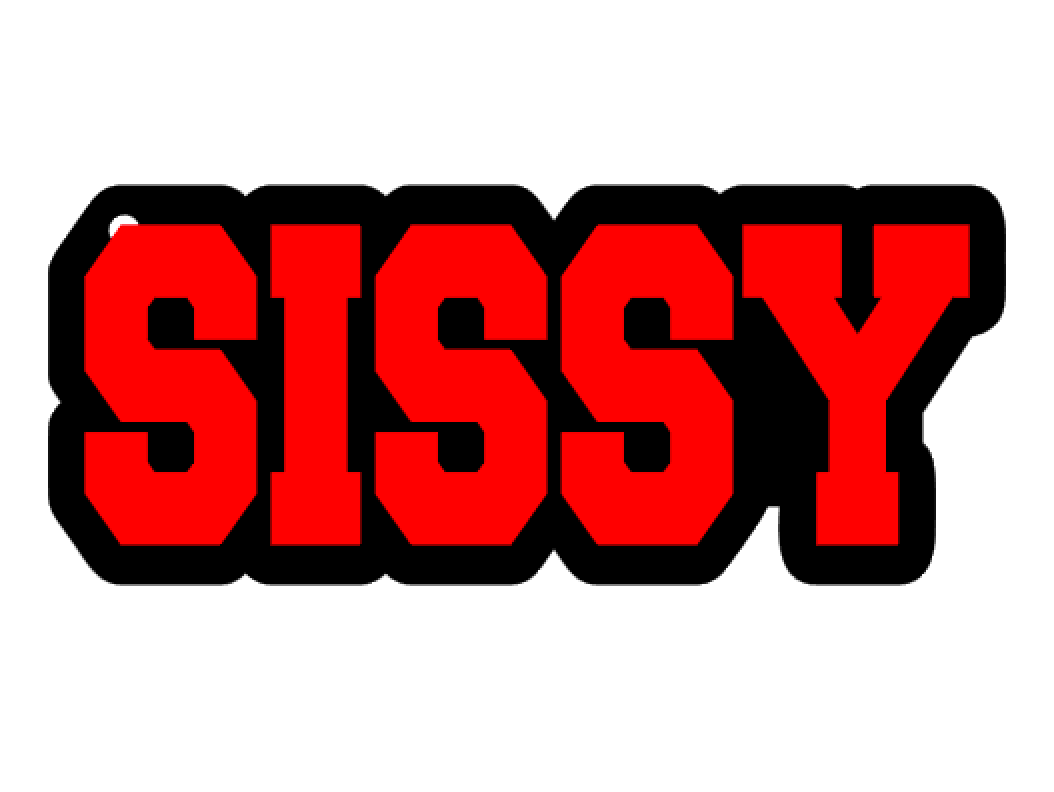 SISSY Word Acrylic Key Chain Blank – Moxie Vinyls