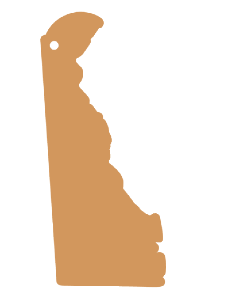 Delaware State Acrylic Blank – Moxie Vinyls