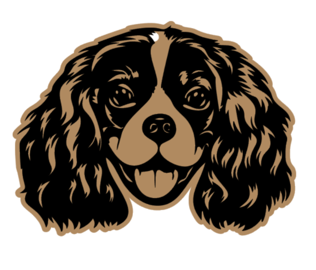 Cavalier King Charles Face Acrylic Blank – Moxie Vinyls