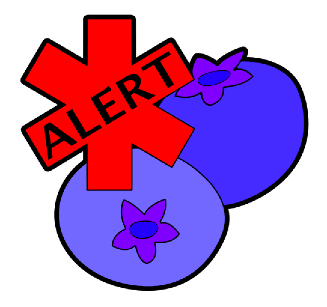 Blueberry Allergy Acrylic Key Chain Blank – Moxie Vinyls